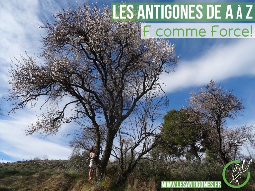 F comme Force ! – Nous portons un regard non seulement sur la féminité ...